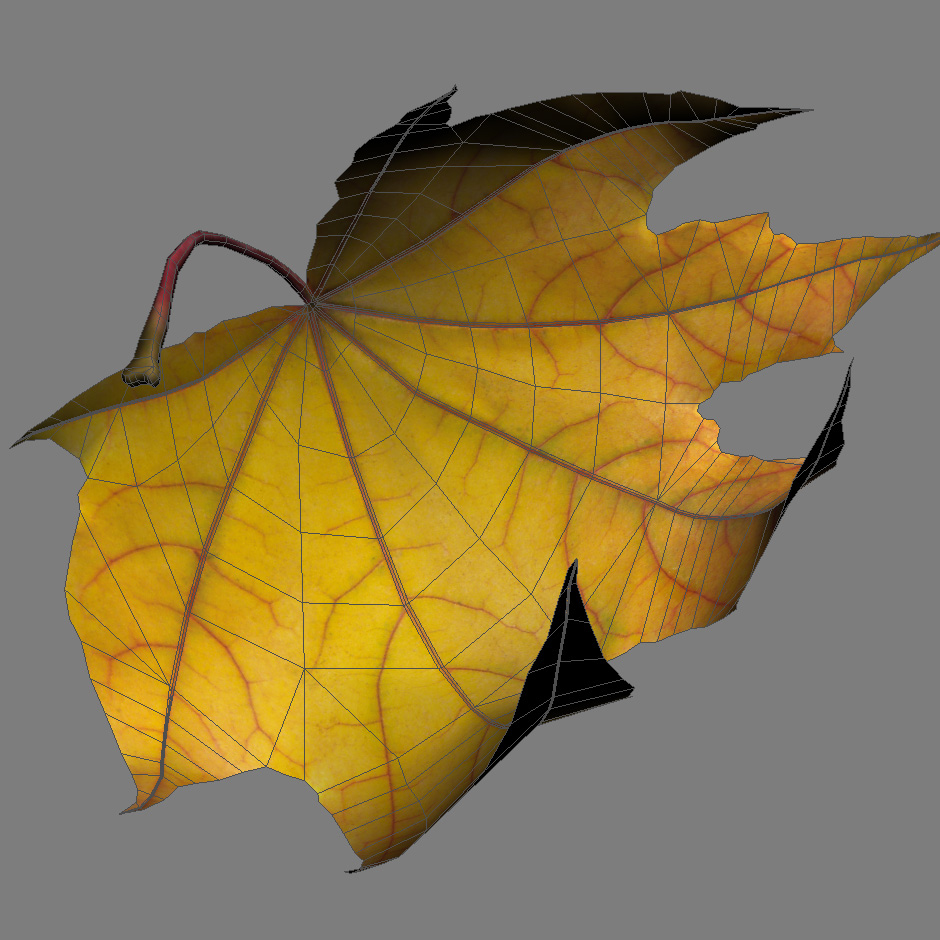 3d model realistic autumn leaves leaf