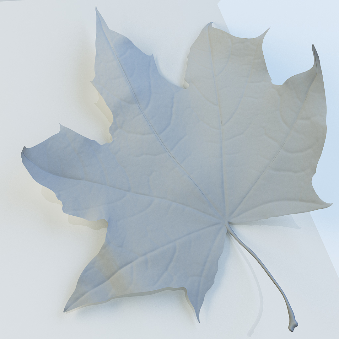 3d model realistic autumn leaves leaf