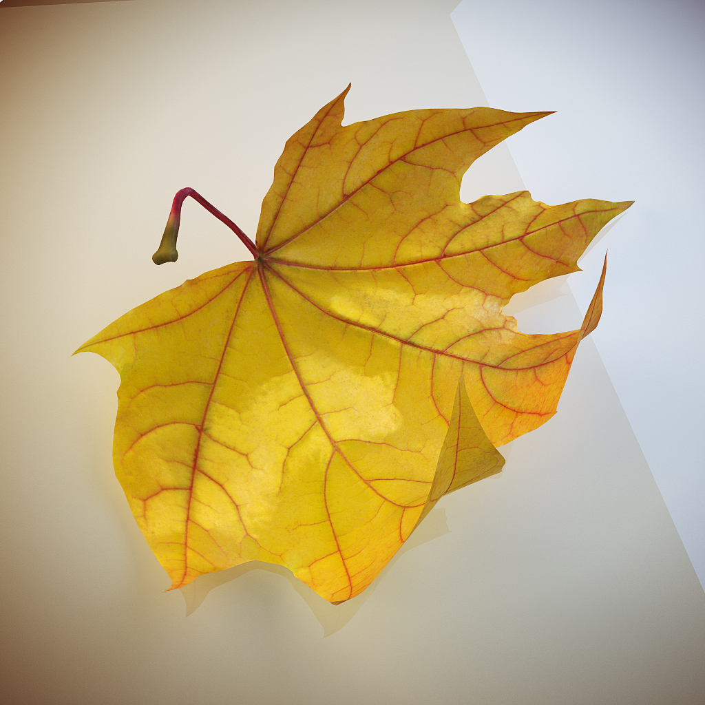 3d model realistic autumn leaves leaf