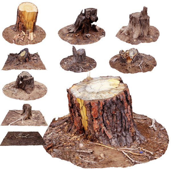 Tree Stump STL Models for Download | TurboSquid