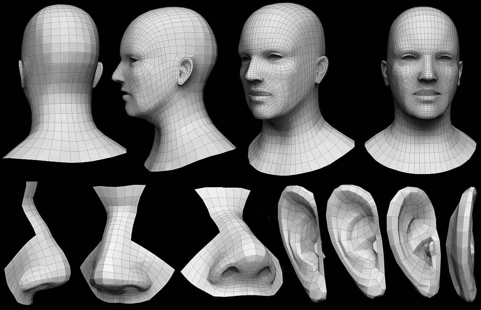 Obj Perfect Human Topology
