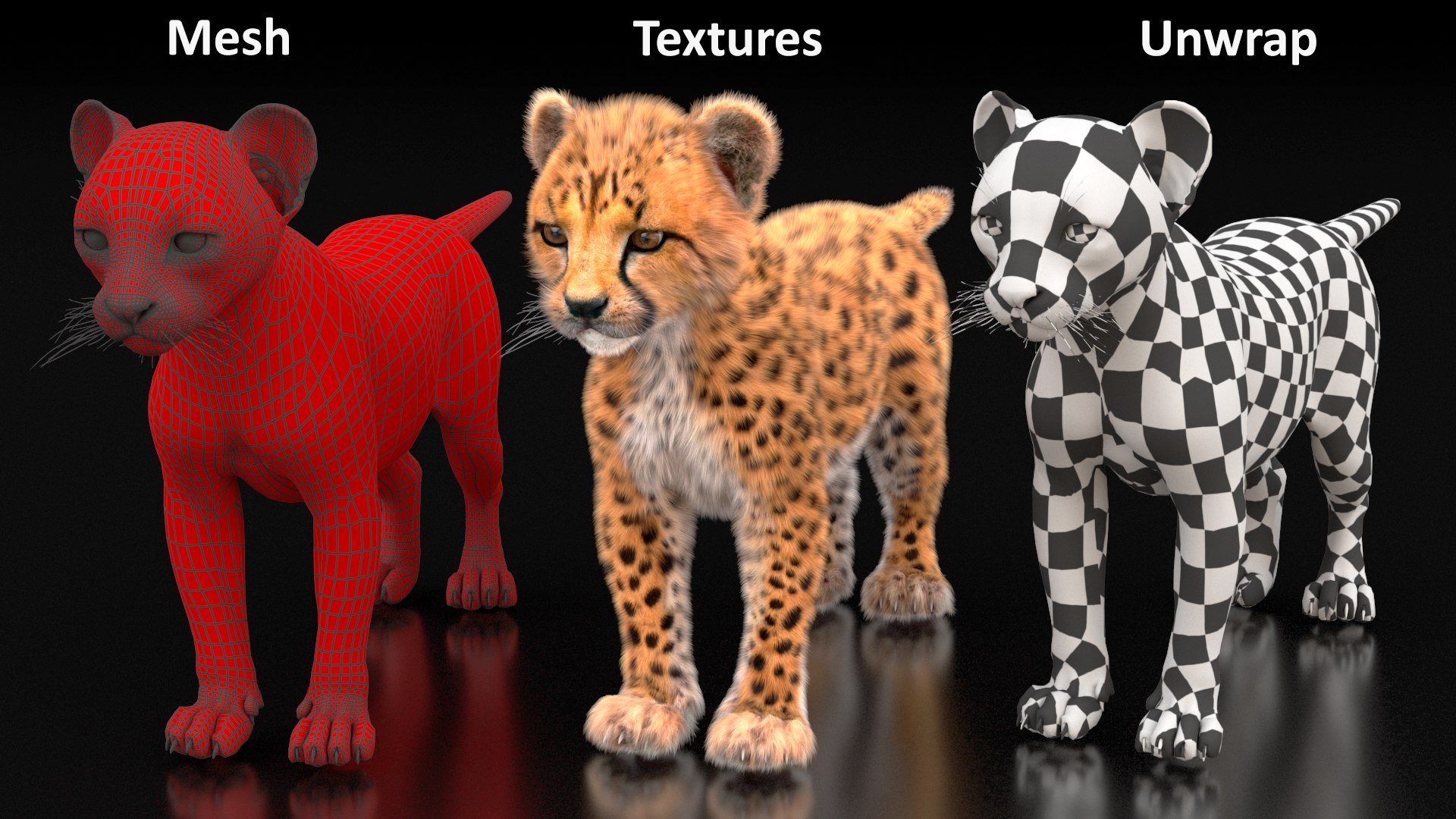 Cheetah Cub Fur For Cinema 4D 3D Model - TurboSquid 2396074