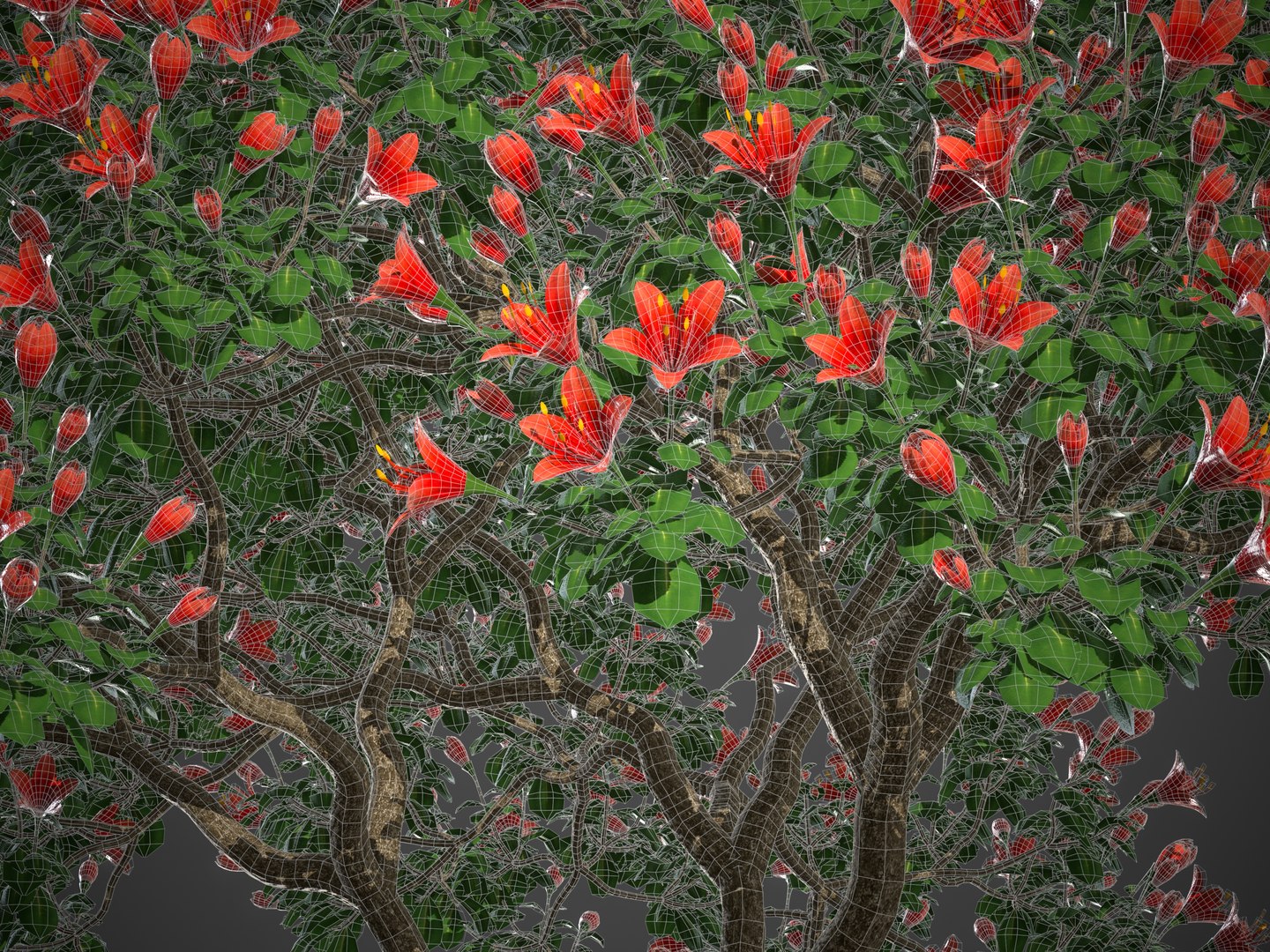 XfrogPlants Japanese Azalea - Rhododendron Japonicum 3D model ...