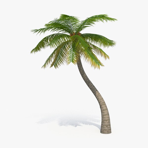 3d model palm tree