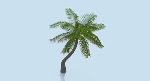 3d model palm tree