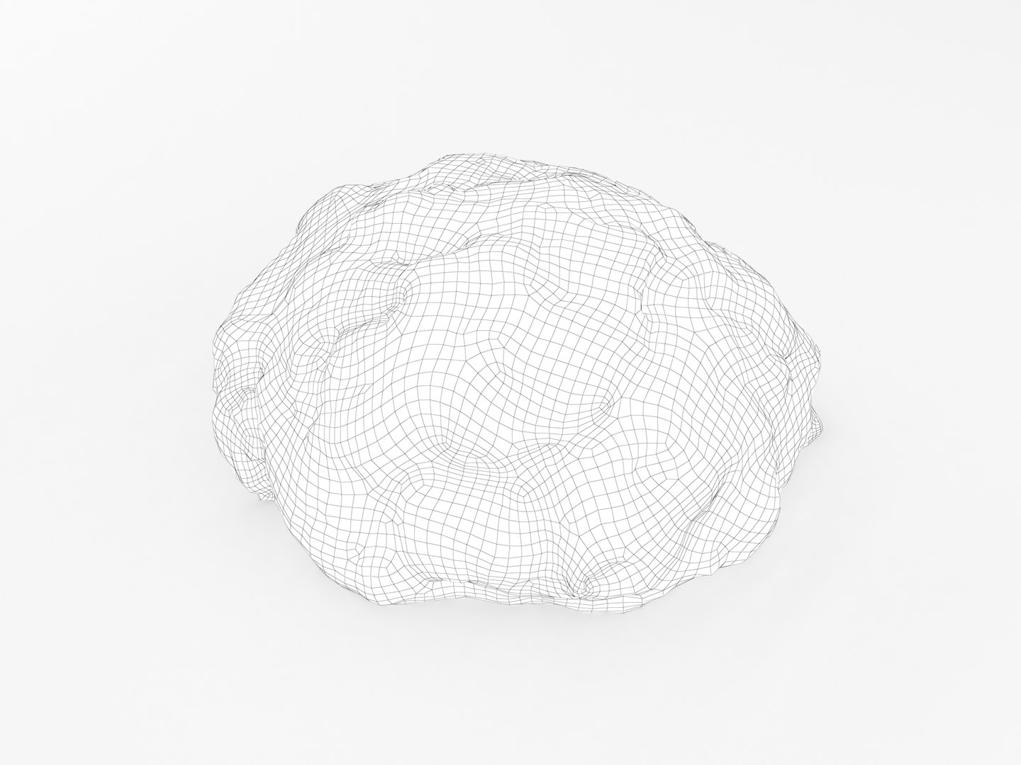 Ground Beef Model - TurboSquid 1448585