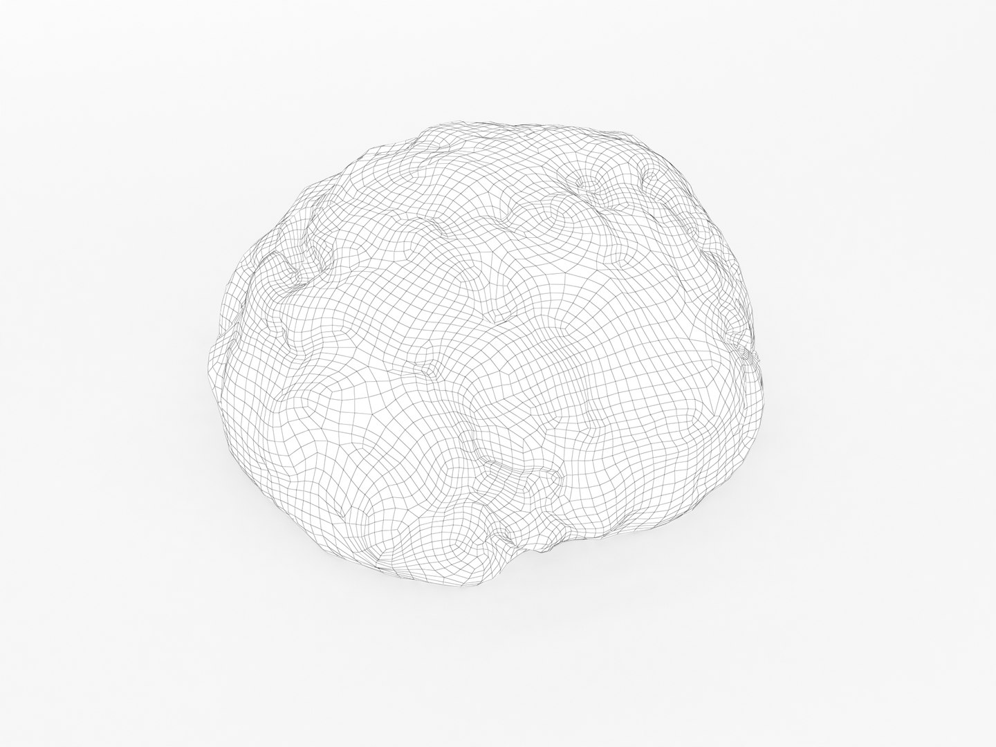 Ground Beef Model - TurboSquid 1448585