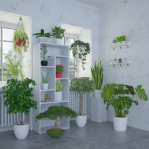 3D Plants Saint Real-Time Models For Download | TurboSquid