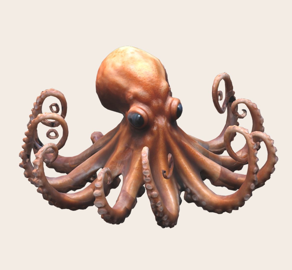 3D Octopus Model - TurboSquid 2317986