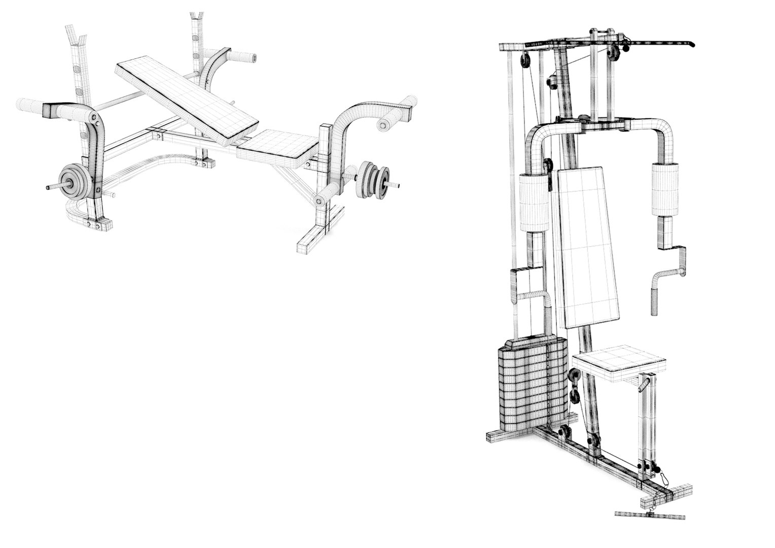 3D Gym Equipment Model - TurboSquid 1363152