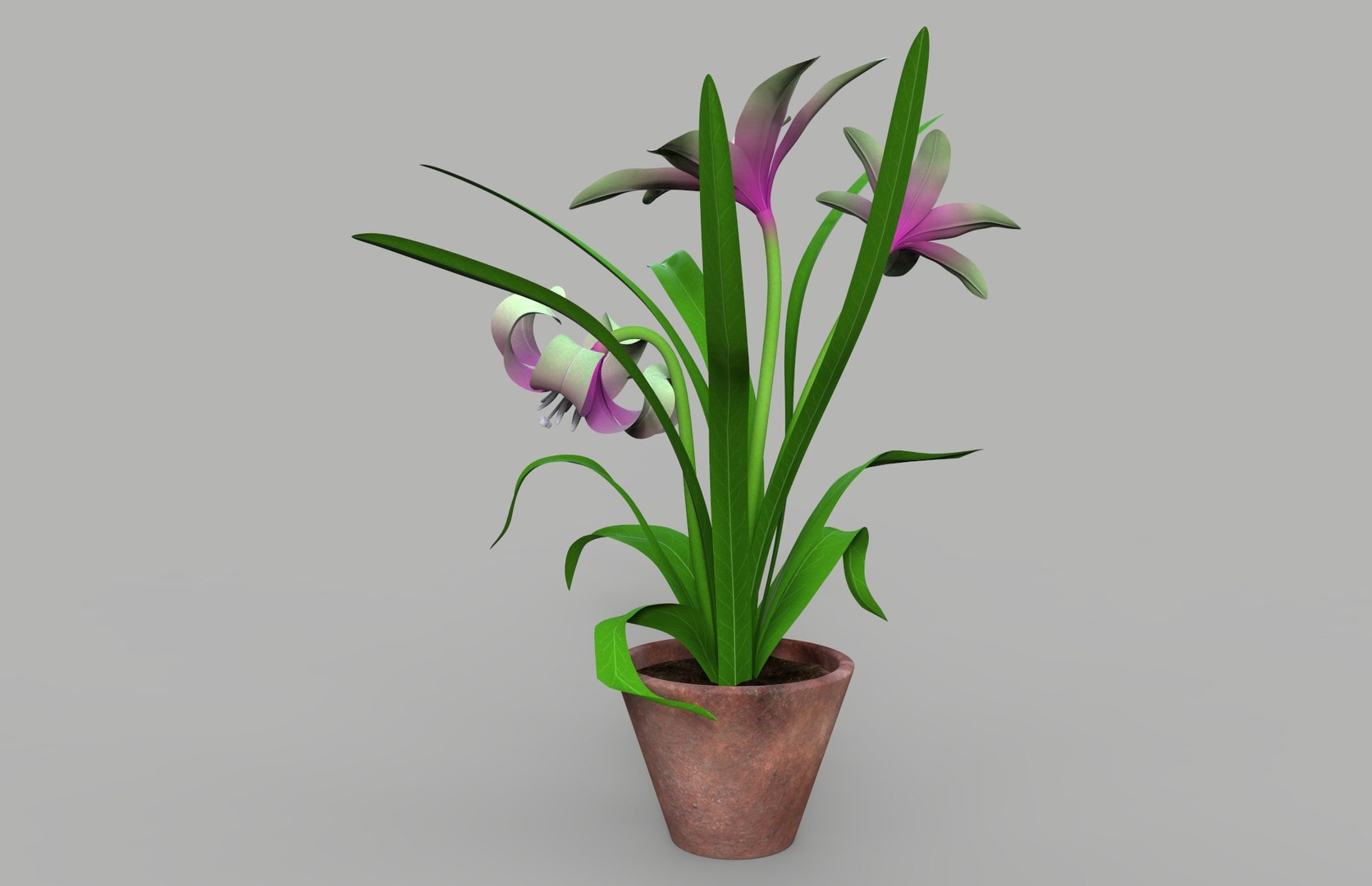 3ds Max Plant Flower
