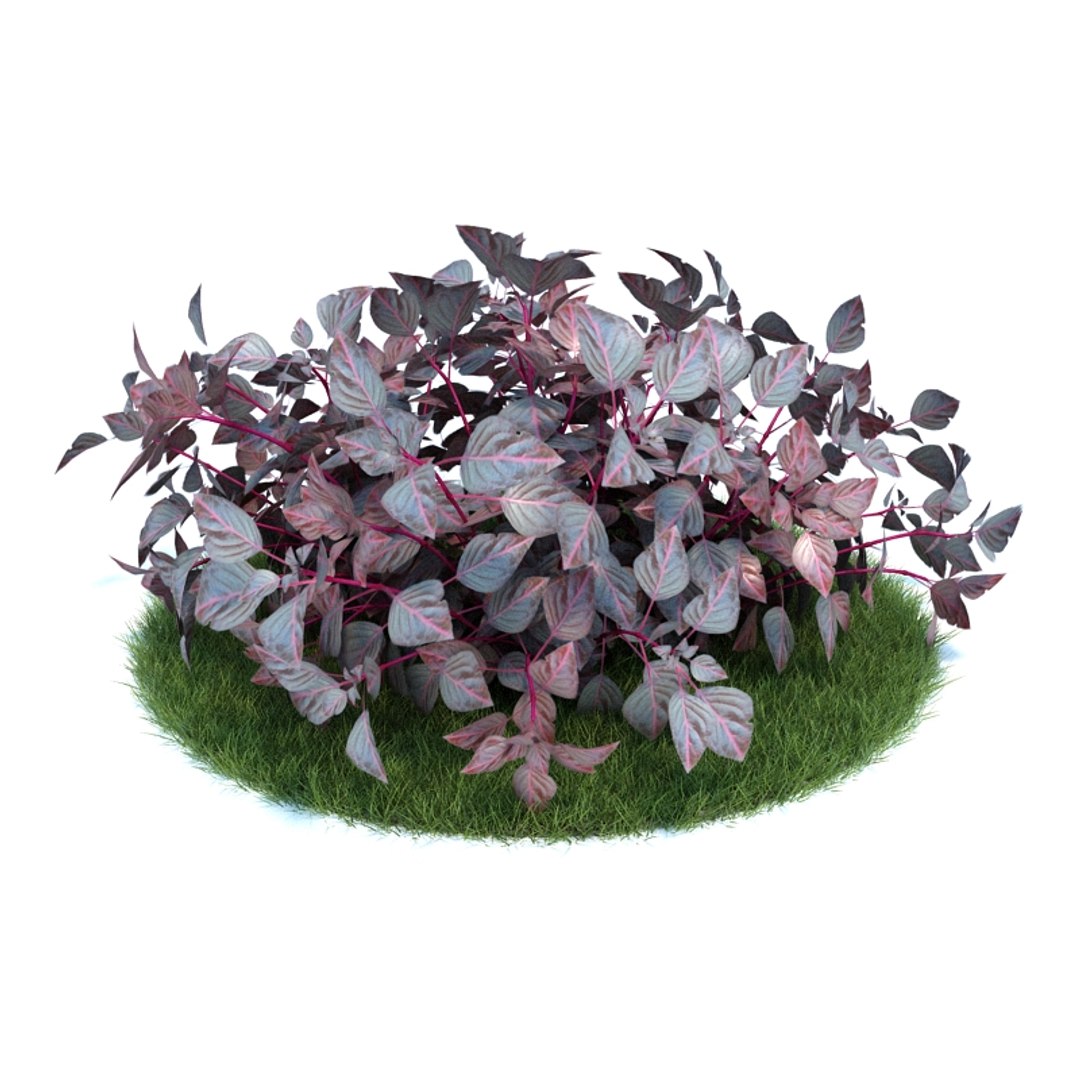 3d model archmodels vol 86 flowers