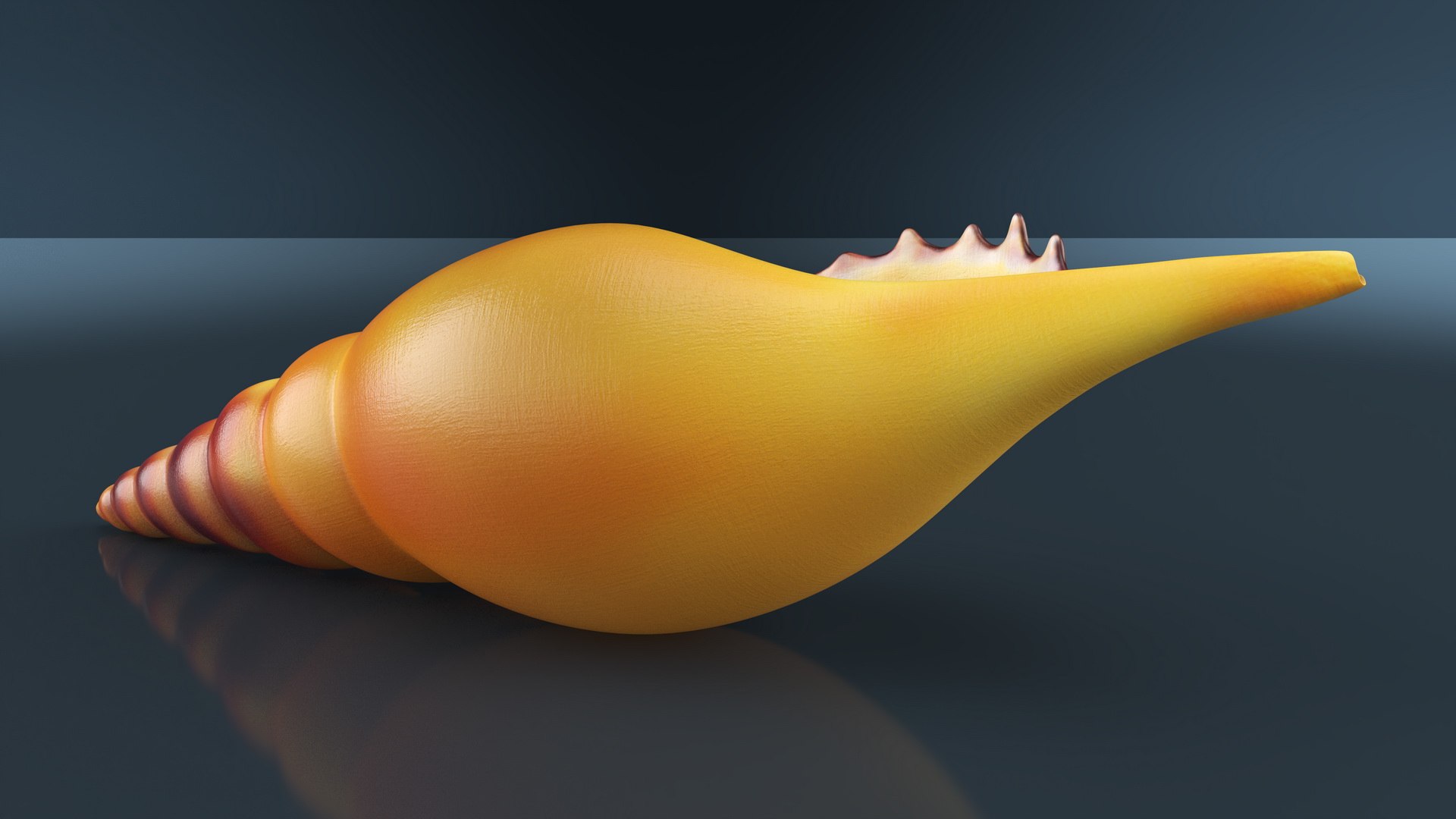 3D Realistic Sea Shell Model - TurboSquid 2329728