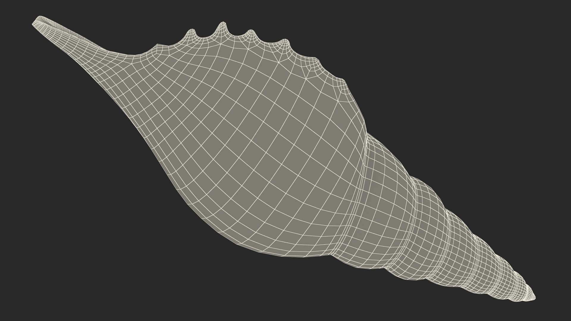 3D Realistic Sea Shell Model - TurboSquid 2329728