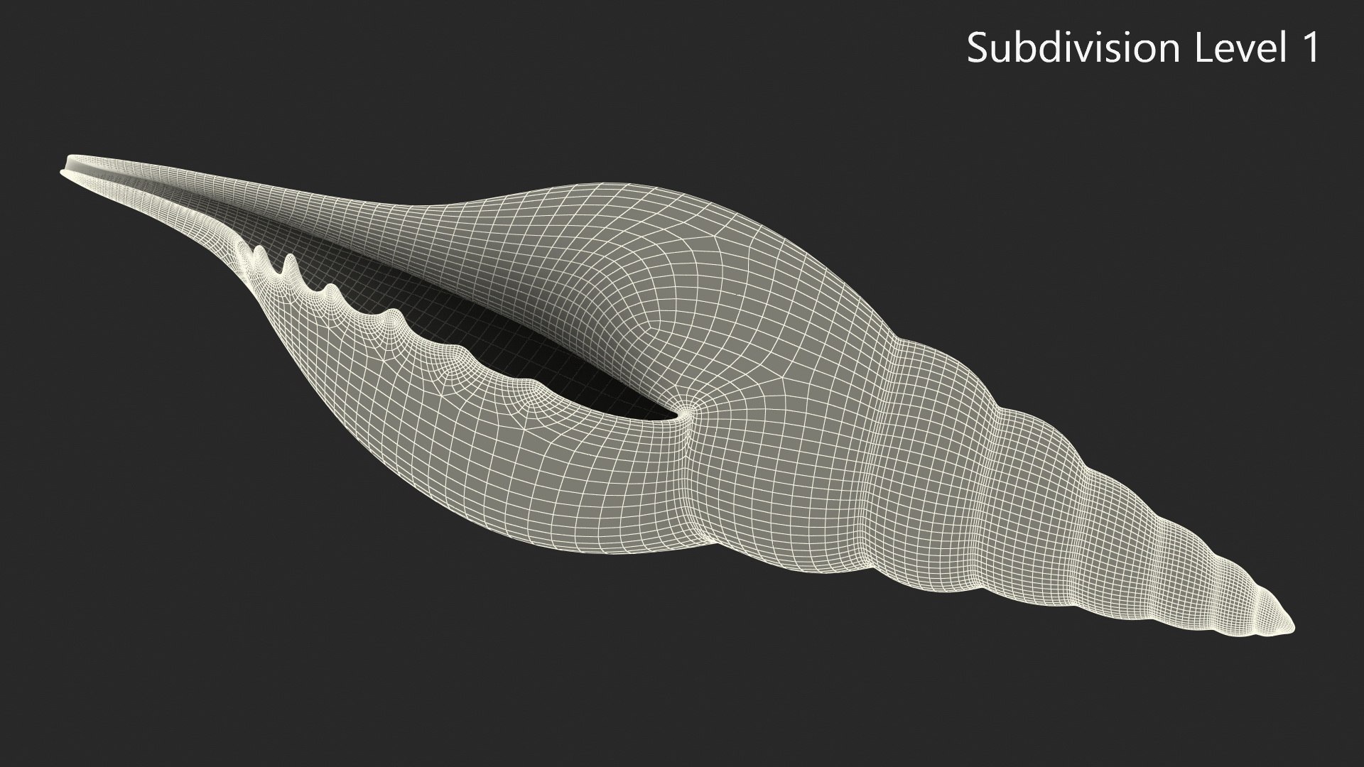 3D Realistic Sea Shell Model - TurboSquid 2329728