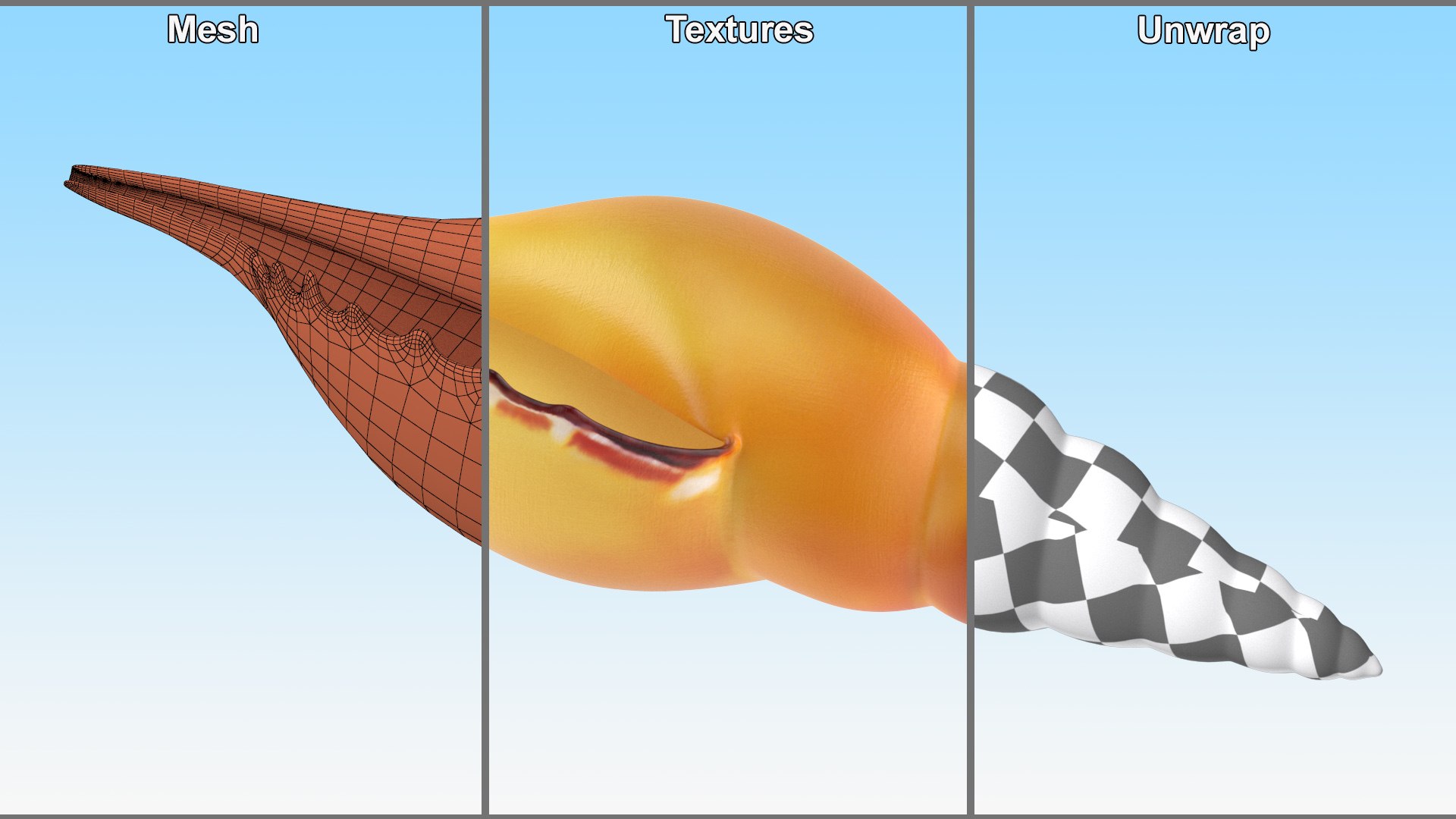 3D Realistic Sea Shell Model - TurboSquid 2329728