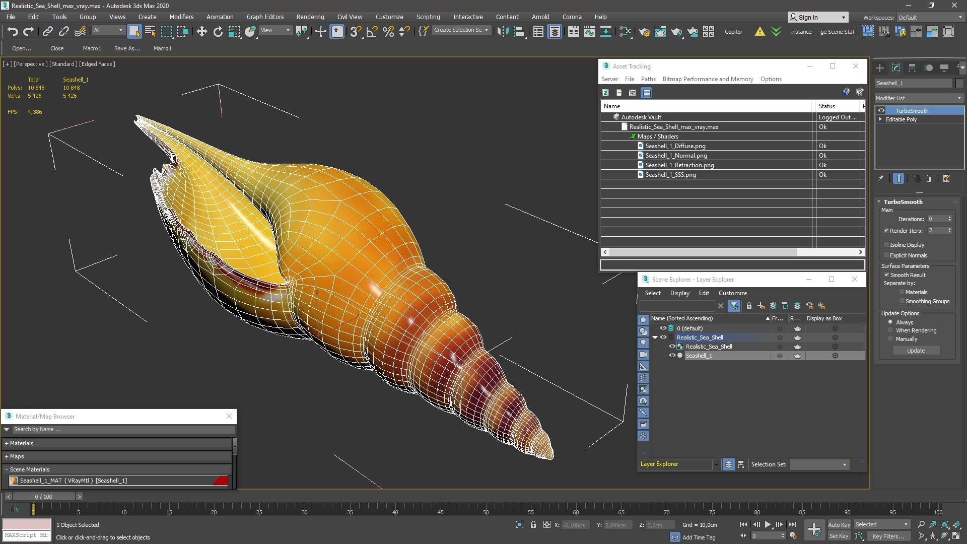 3D Realistic Sea Shell Model - TurboSquid 2329728