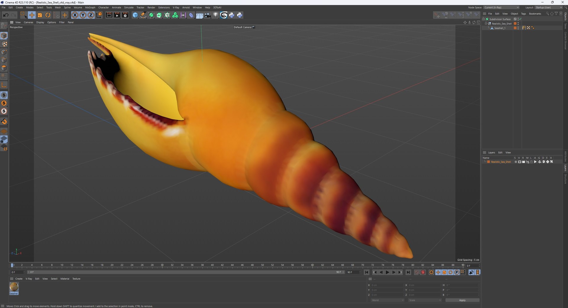 3D Realistic Sea Shell Model - TurboSquid 2329728