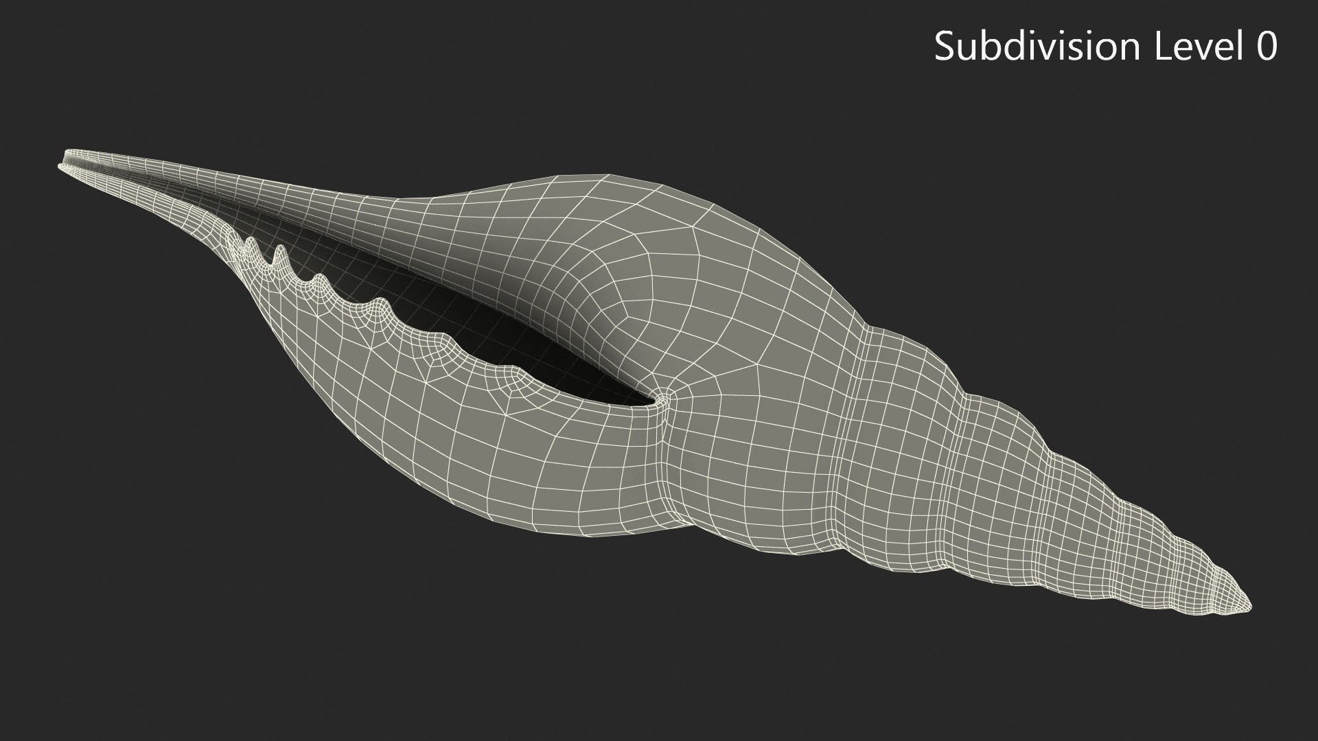 3D Realistic Sea Shell Model - TurboSquid 2329728