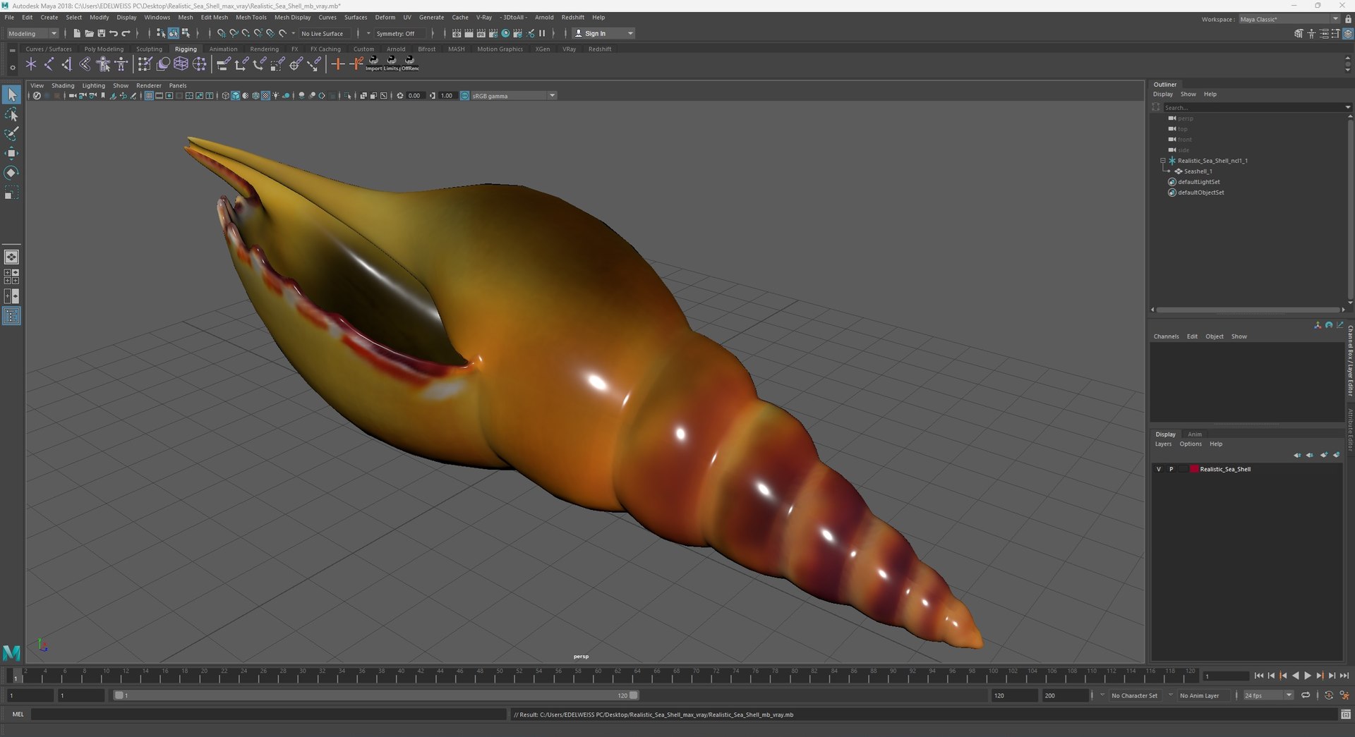 3D Realistic Sea Shell Model - TurboSquid 2329728