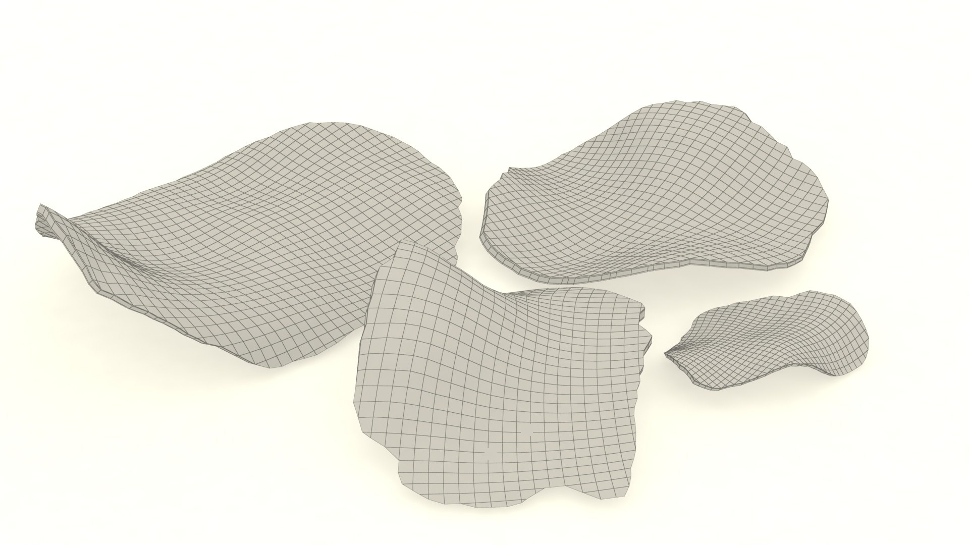 Turmeric Curcuma Slice 3D Model - TurboSquid 1705030