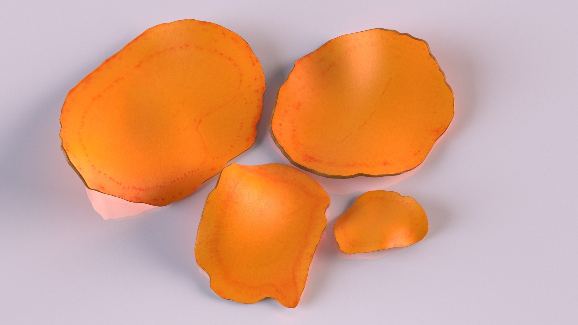 Turmeric Curcuma Slice 3D Model - TurboSquid 1705030