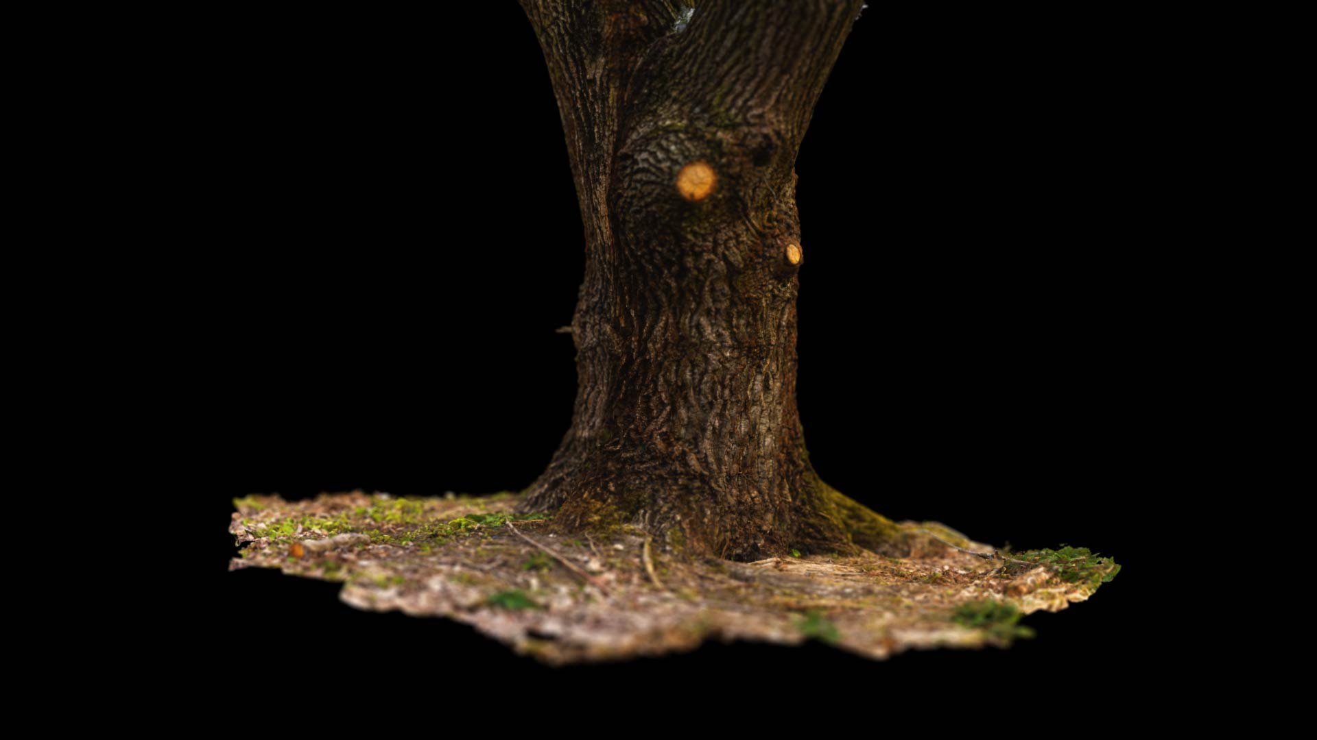 3D Tree Ground Model - TurboSquid 1152744