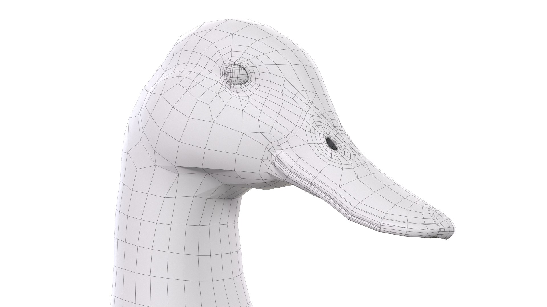 Mallard Duck Male 3D Model - TurboSquid 1789706