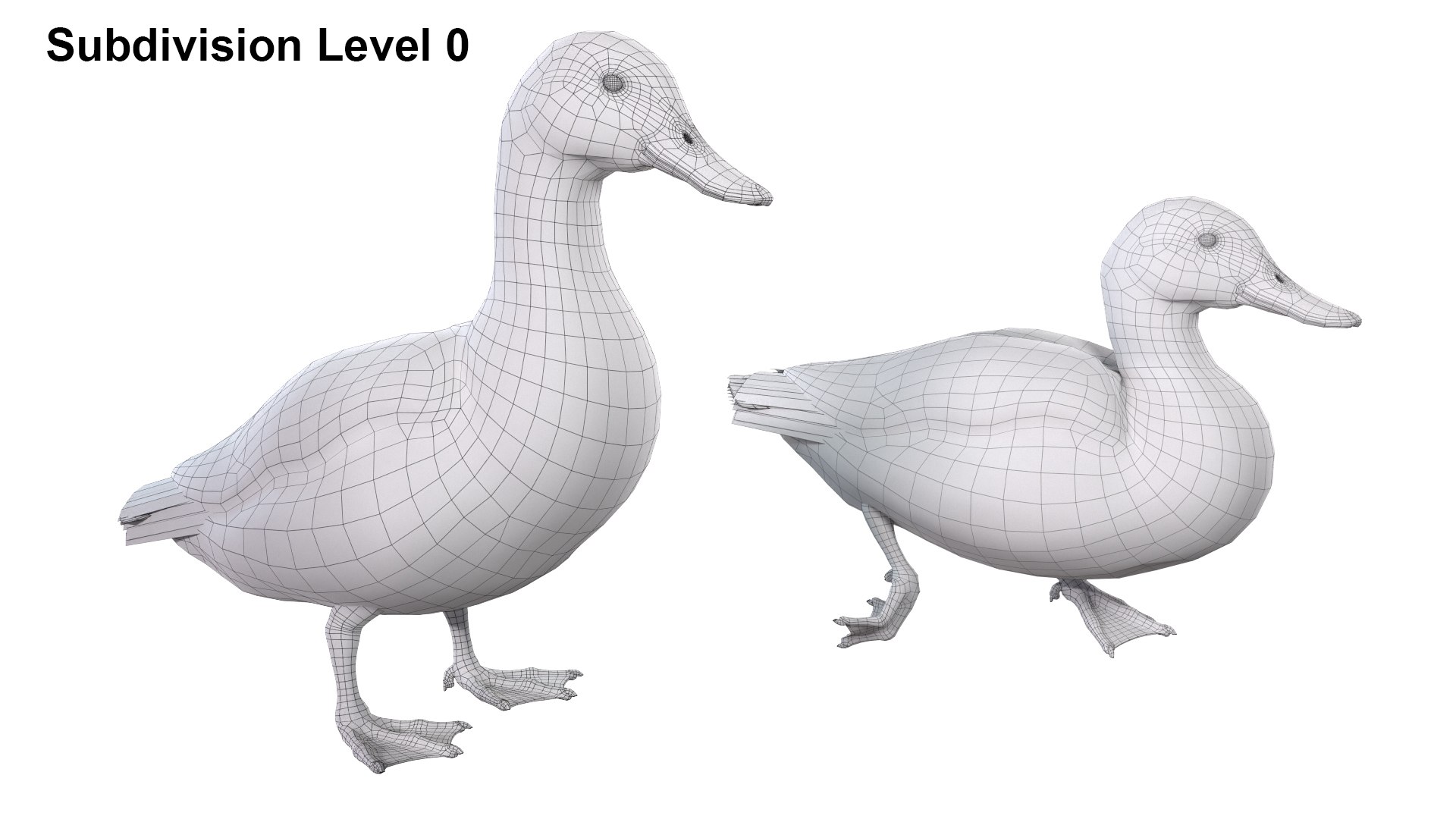 Mallard Duck Male 3D Model - TurboSquid 1789706