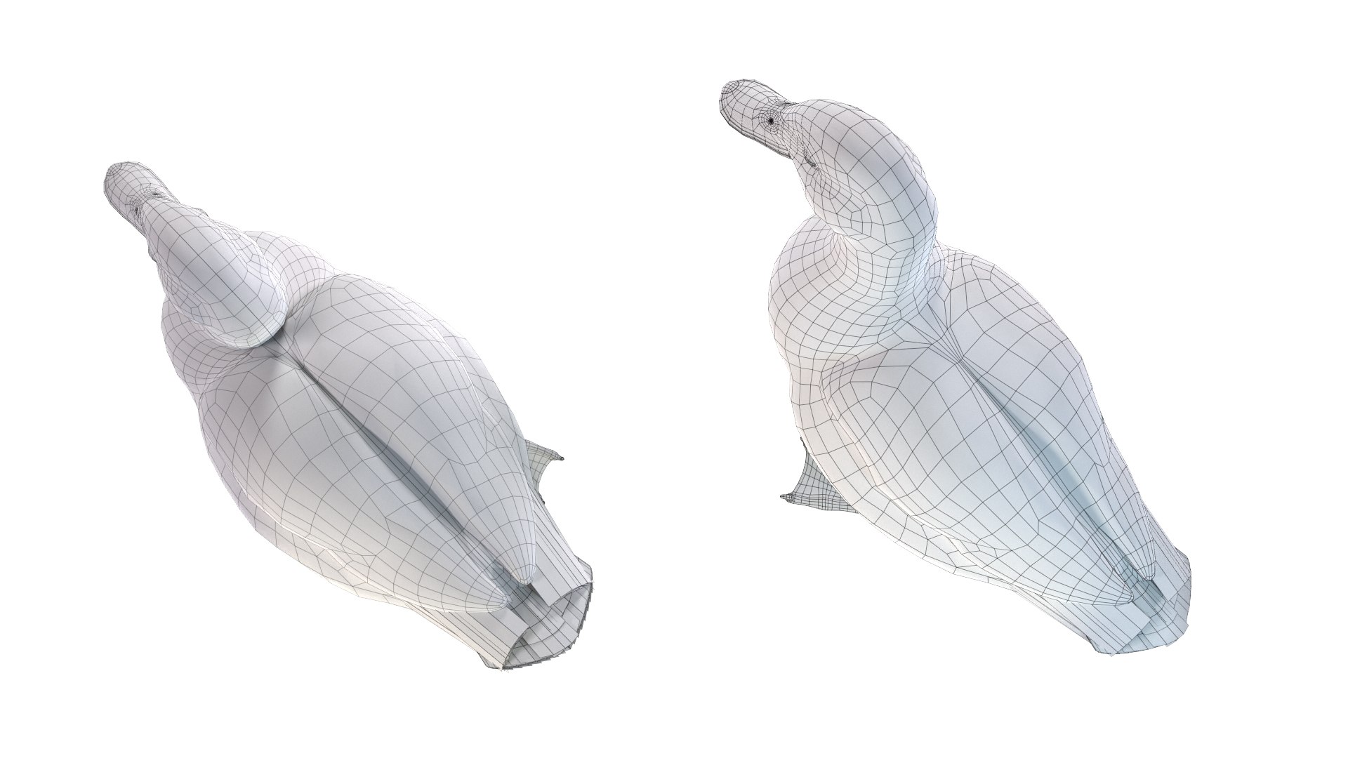 Mallard Duck Male 3D Model - TurboSquid 1789706