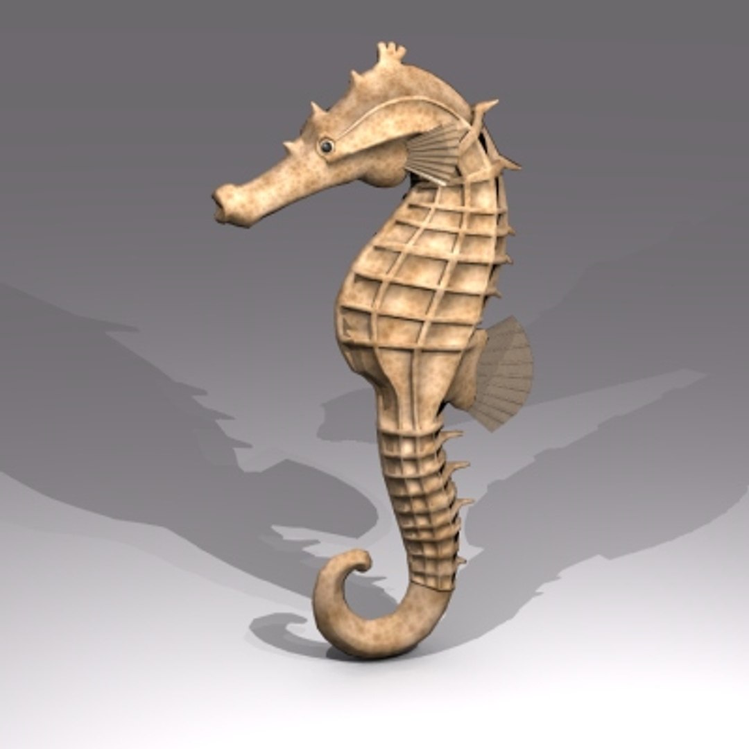 Seahorse 3d Model