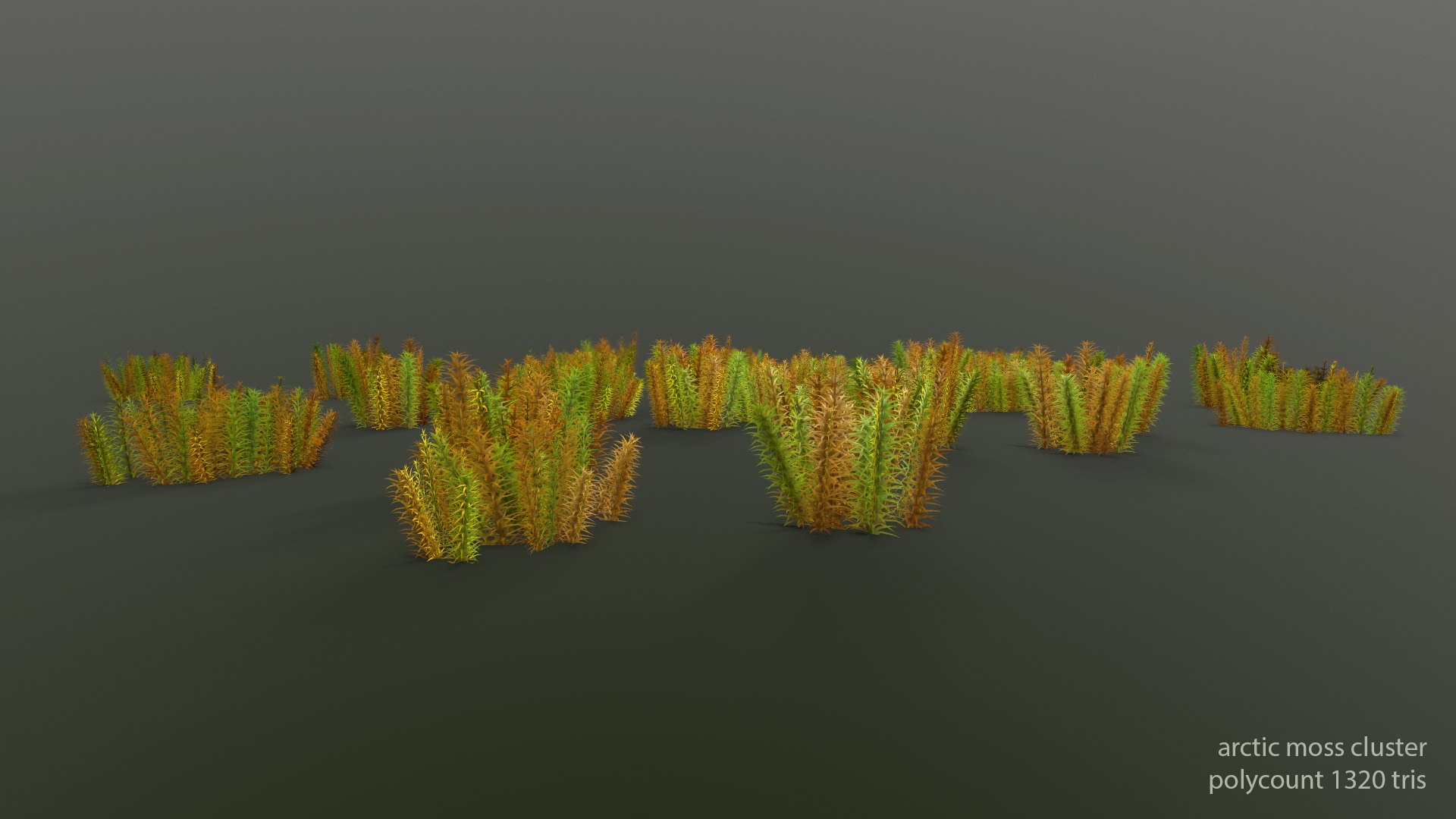 3D Tundra Plants Moss Grass Model - TurboSquid 1542439
