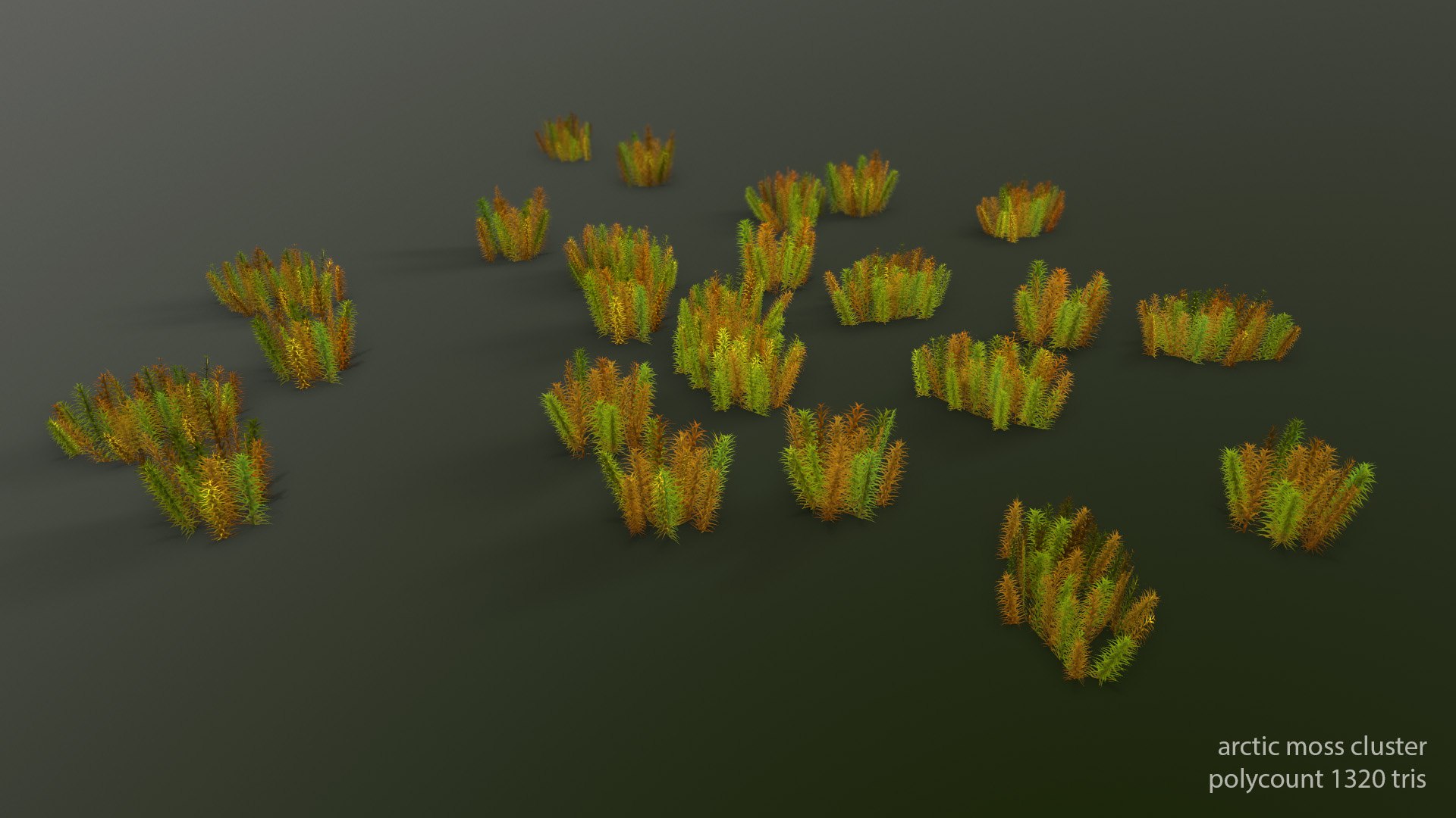 3D Tundra Plants Moss Grass Model - TurboSquid 1542439