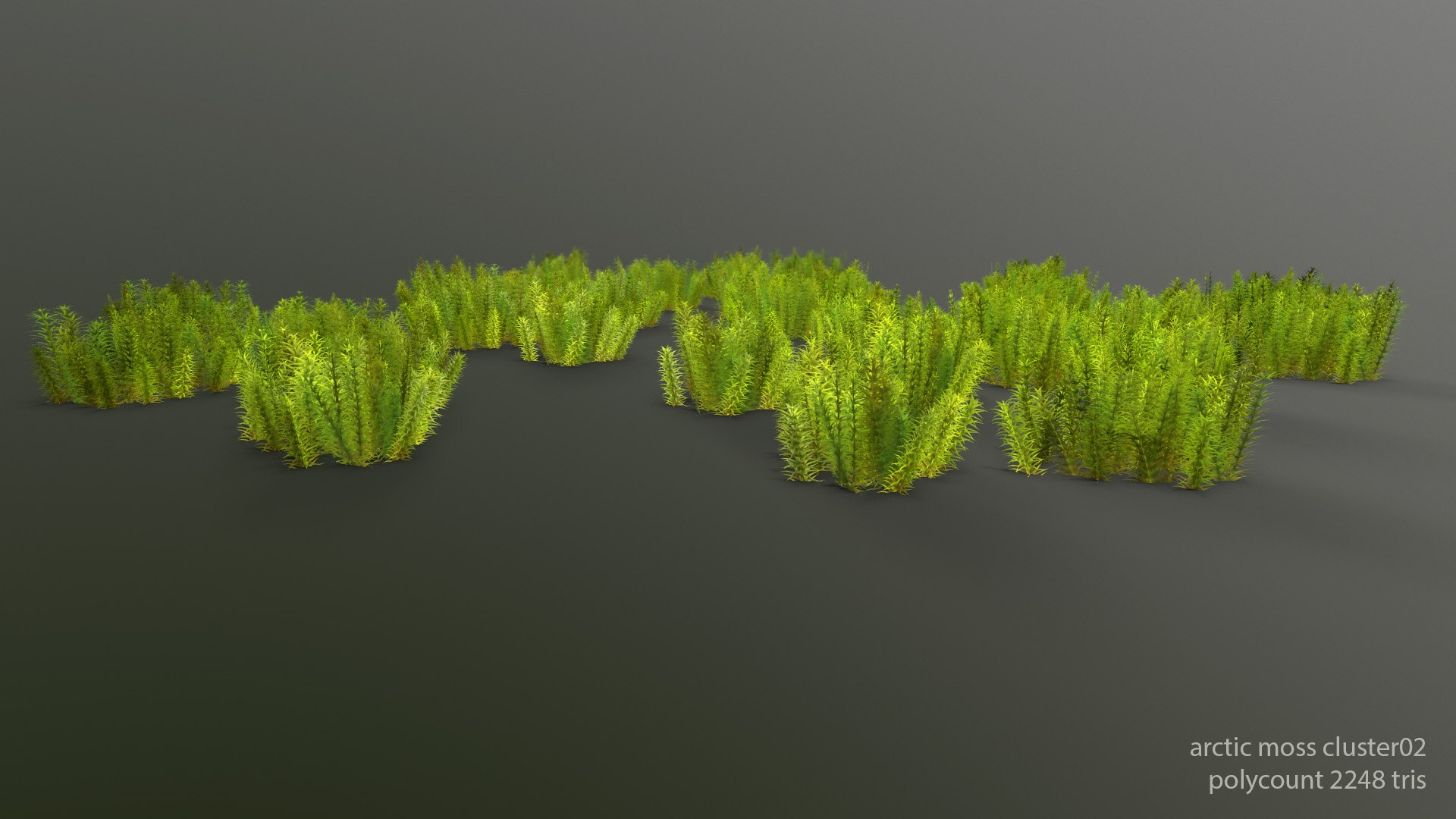 3D Tundra Plants Moss Grass Model - TurboSquid 1542439