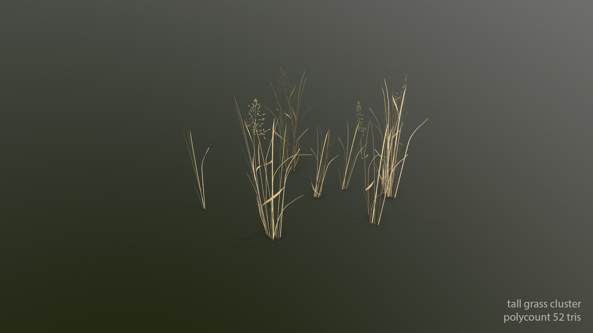 3D tundra plants moss grass model - TurboSquid 1542439