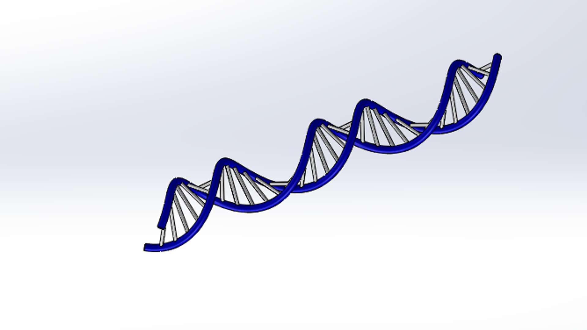 Dna 3d Model