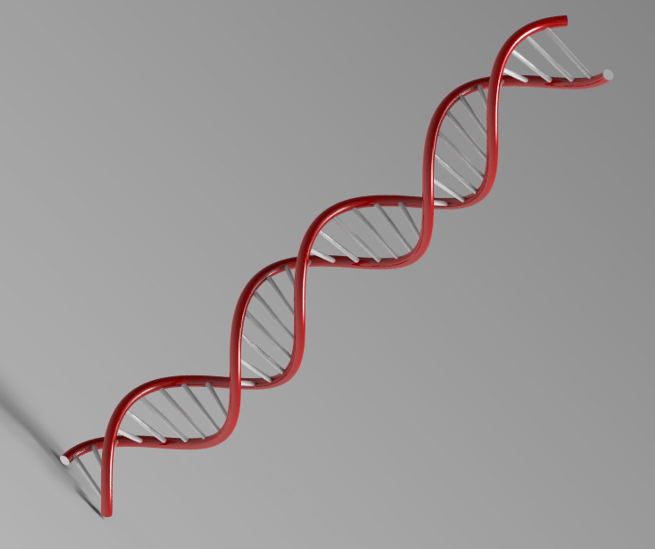 Dna 3d Model