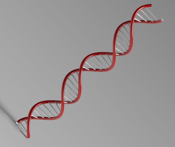 3D dna triangular model - TurboSquid 1383393