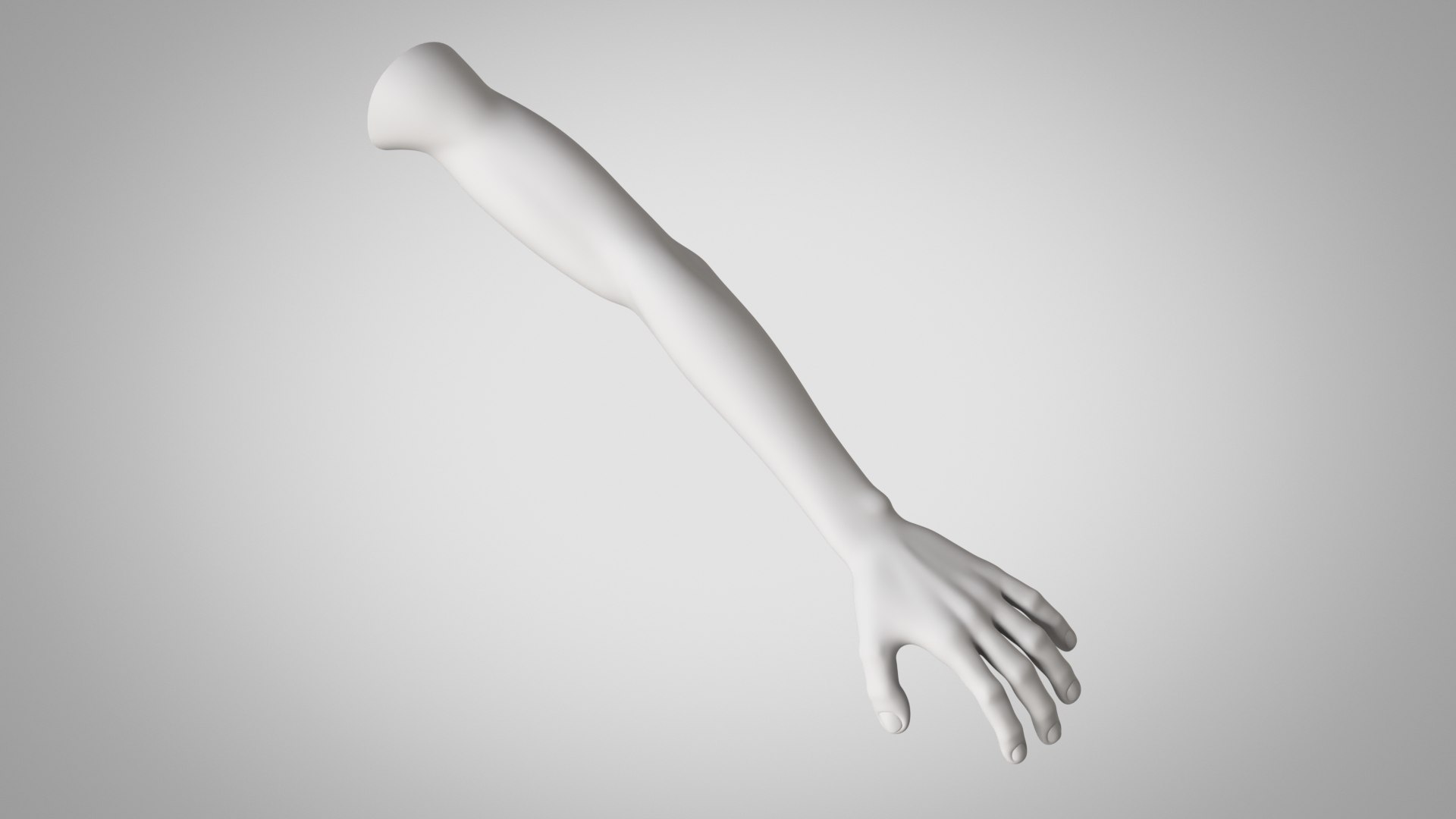 Male Arm 3D - TurboSquid 2306947