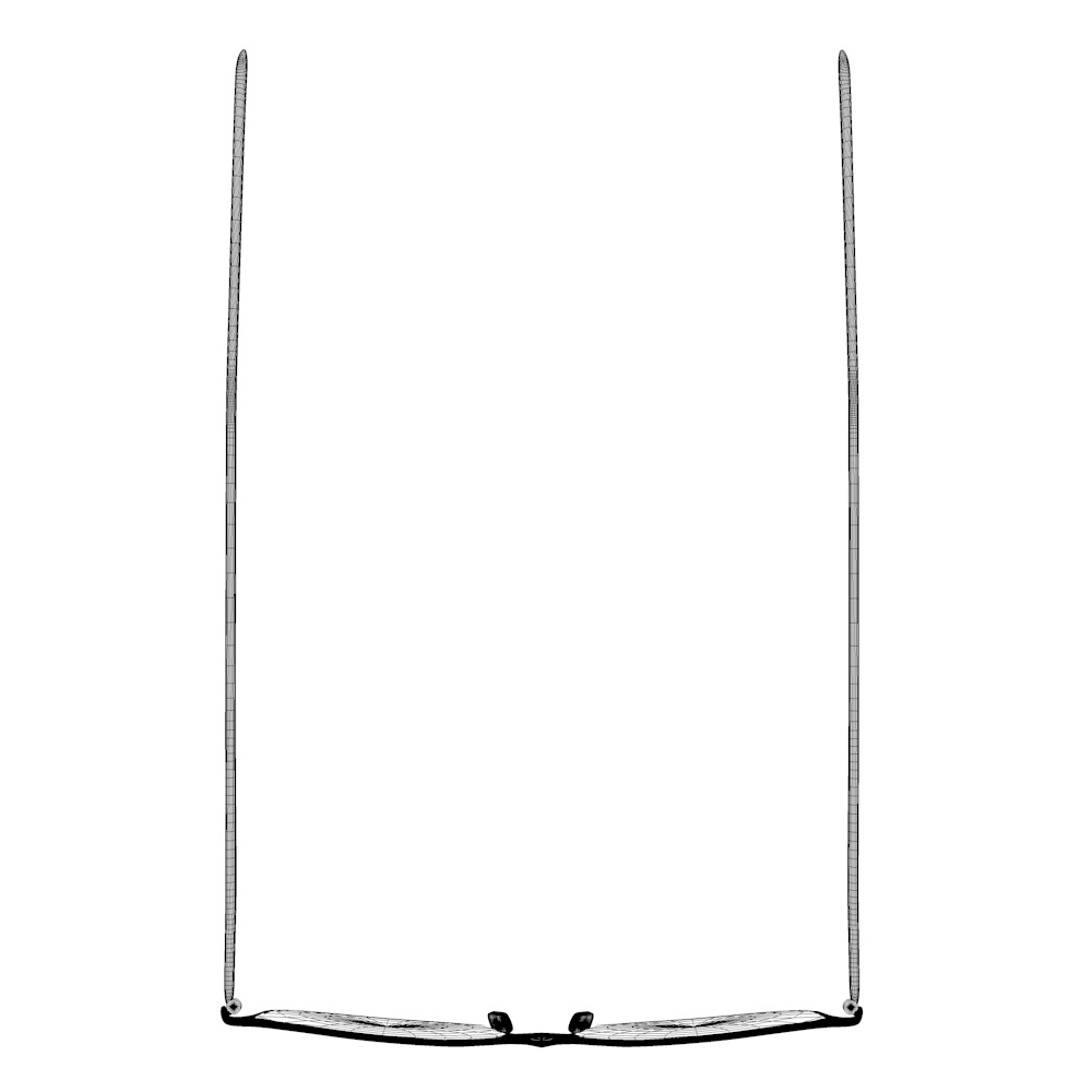 eye glasses 3d model