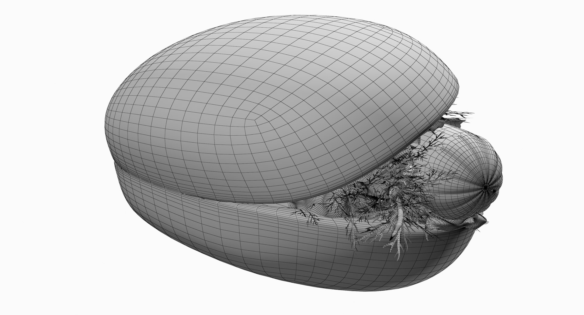 3d hot dog cabbage dill