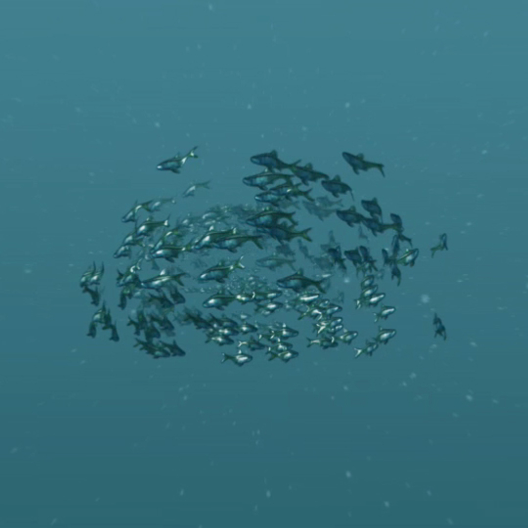3d school fish swimming