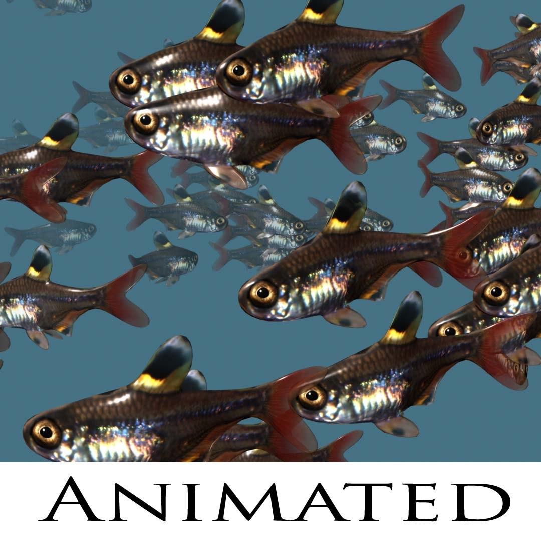 3d School Fish Swimming