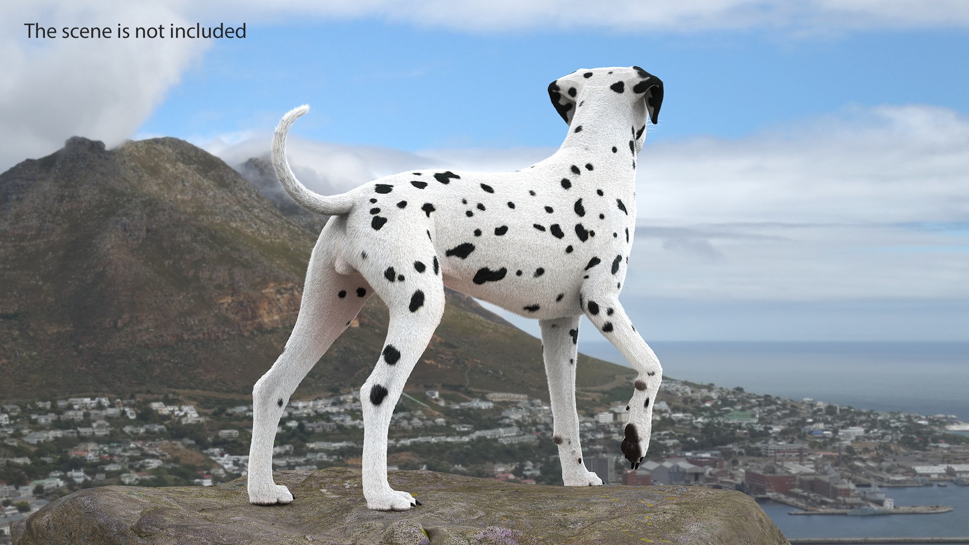 Dalmatian Dog Standing Pose Fur 3D - TurboSquid 2235009