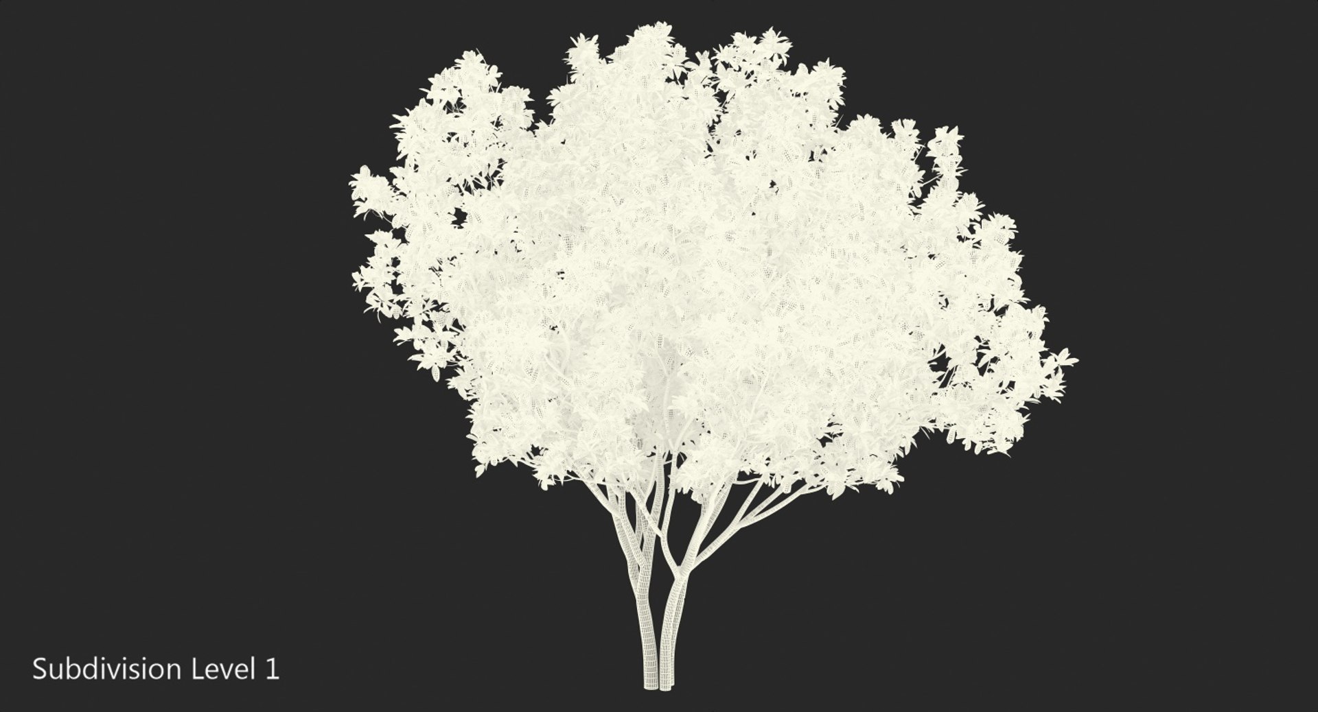 Southern magnolia tree 3D model - TurboSquid 1412716