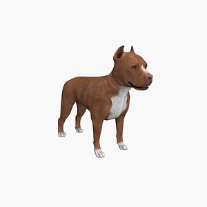 3D Pitbull Models - Browse & Download Formats - TurboSquid