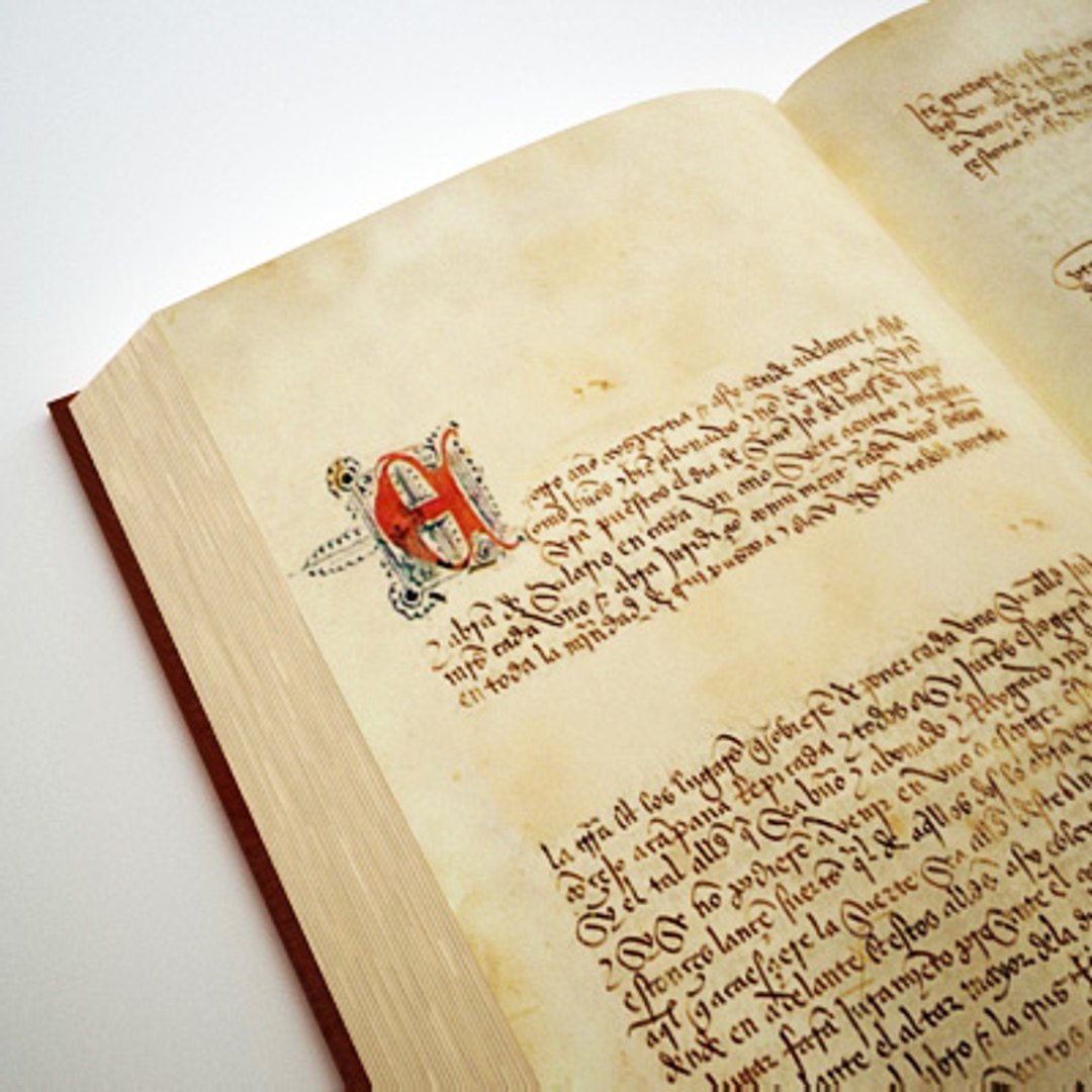 Manuscript Book Page 3d Max