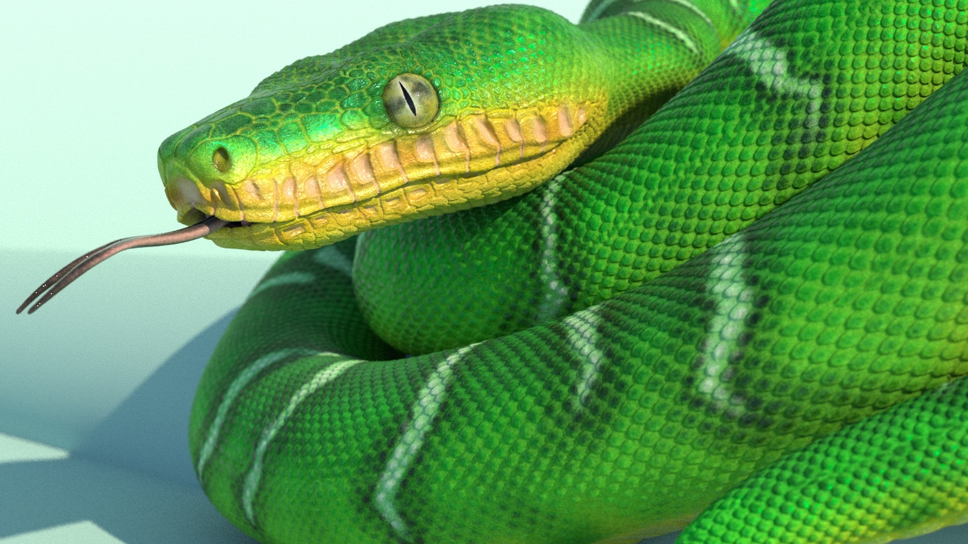 Emerald Tree Boa Rigged Animated 3D Model - TurboSquid 1727259