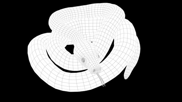 Emerald Tree Boa Rigged Animated 3D model - TurboSquid 1727259