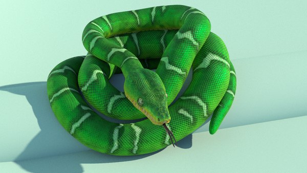 Emerald Tree Boa Rigged Animated 3D model - TurboSquid 1727259